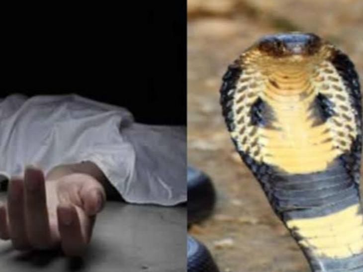 Snake catcher bitten by snake, died | सांप पकड़ने वाले को सांप ने काटा ...