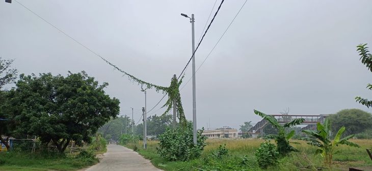 Dozens of street lights installed in station road of Mashrak Junction ...