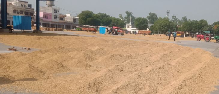 Gate passes issued for 470 quintals of paddy at Kasandi procurement ...