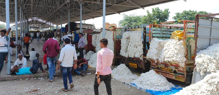 Cotton arrived in Khetiya Mandi from 143 vehicles | खेतिया मंडी में 143 ...