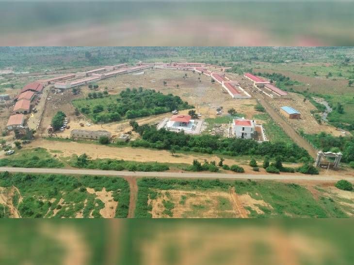 Basaman Mama Gauvansh Forest Sanctuary of Rewa district inaugurated on ...