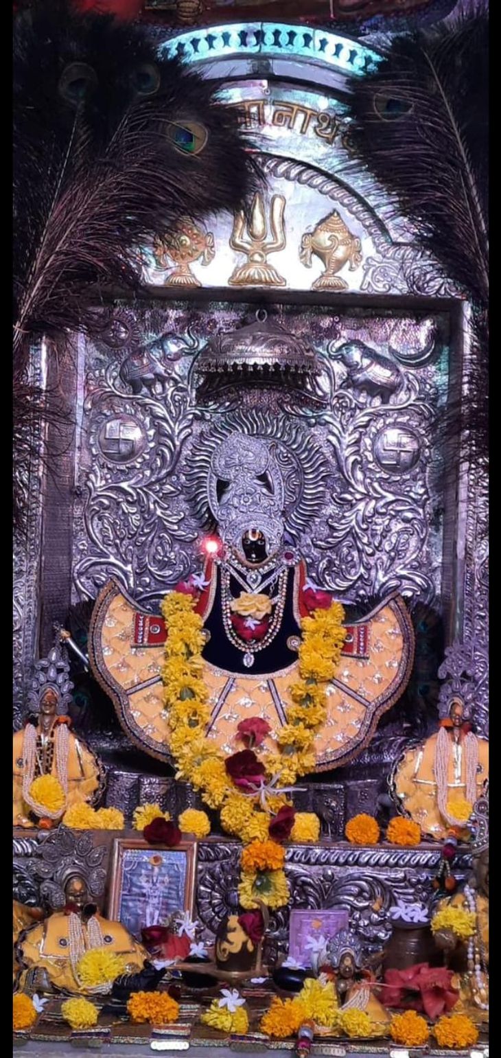 Decorated Lord Charbhujanath on Ashwin Krishna Dashami | आश्विन कृष्ण ...
