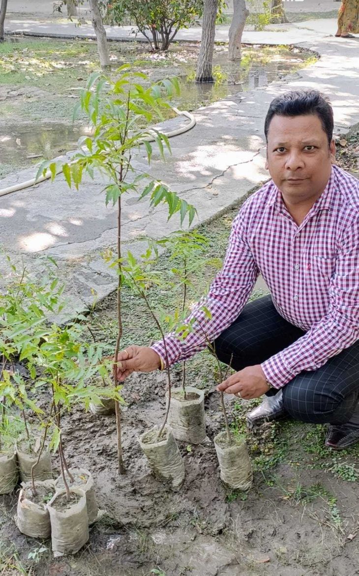 Celebrated birthday by planting 11 neem plants | नीम के 11 पौधे रोपित ...