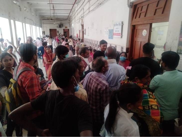 Kanpur Dengu Case, Dengu Virus, Chickenguniya Virus, Malaria Virus ...