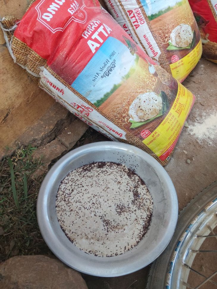 Insects in food items of Maa Bari centers of Dhamsara | धामसरा के मां ...