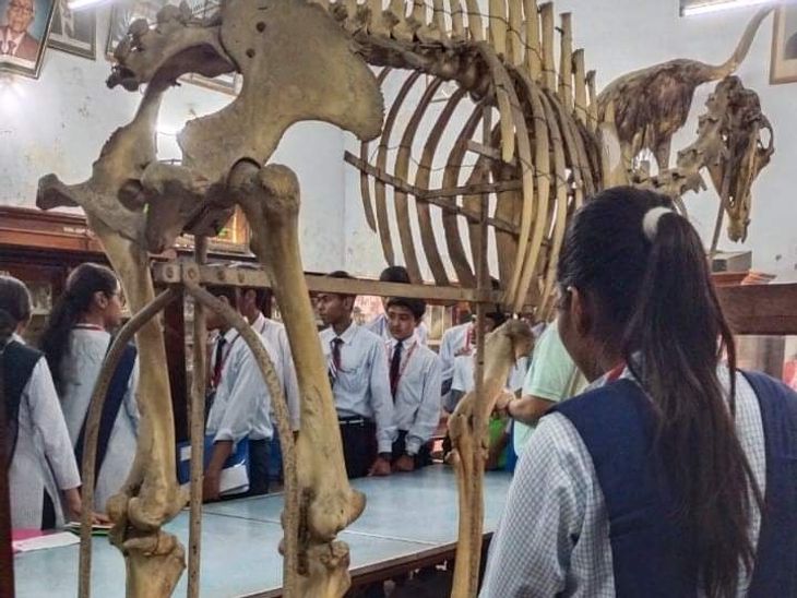 Regional Science Congress – 2023 inaugurated in BHU | बीएचयू में ...