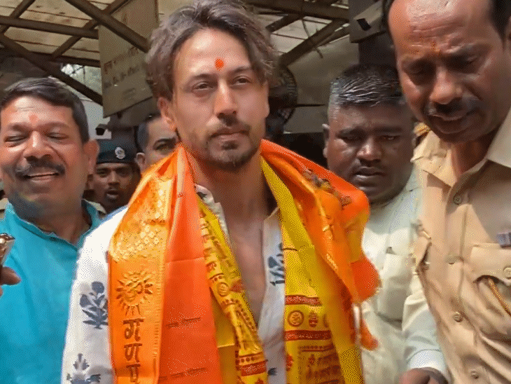 Tiger seen with tilak on his forehead at Bappa's door, took bappa's ...