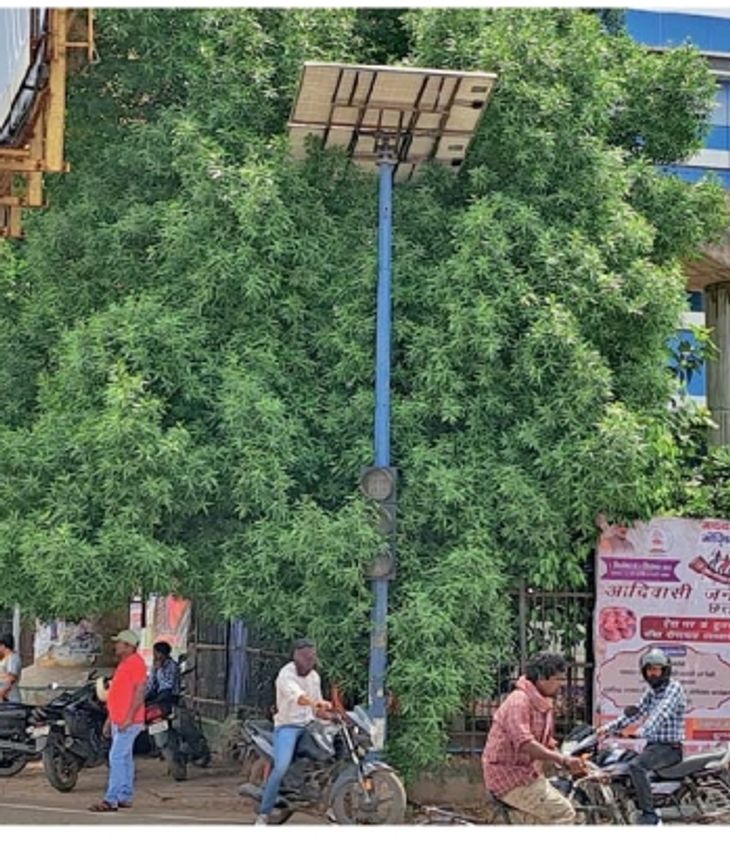 Traffic signals run on solar power, so panels were installed in such ...