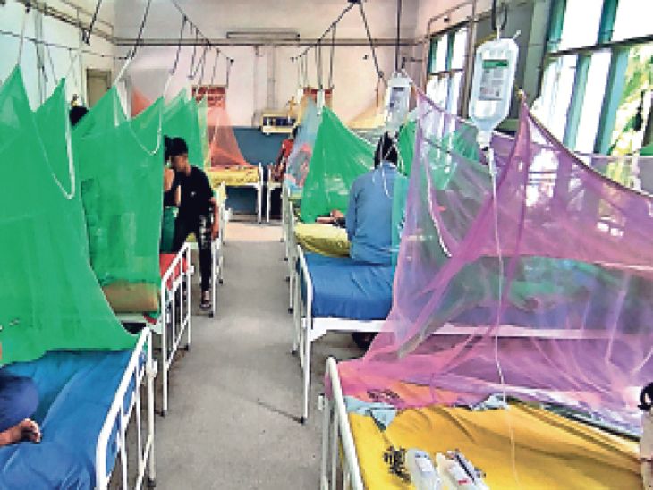 IGIMS director and two doctors found dengue...152 new patients ...