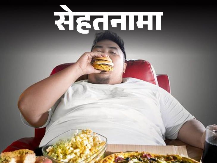 Fats Source Explained; What Is Healthy Fats, And How To Identify It ...