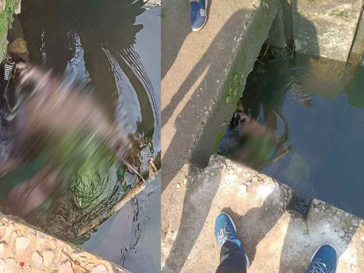 Dead body of an elderly woman found floating in water in Sakri river ...