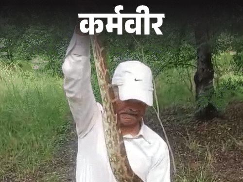 Story of Professor NB Singh of Allahabad University who saved snakes ...