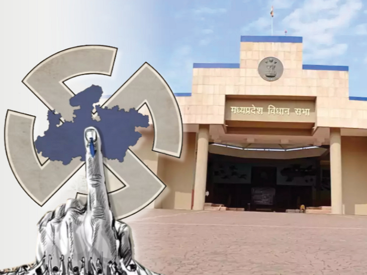 Election symbols allotted to candidates of 8 seats of Sagar | सागर की ...