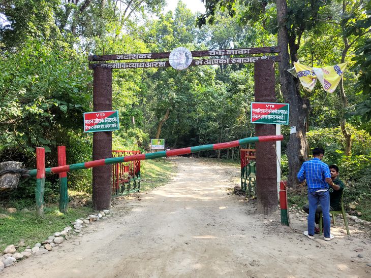 700 people are reaching VTR every day to visit in bagaha | रोज 700 लोग ...