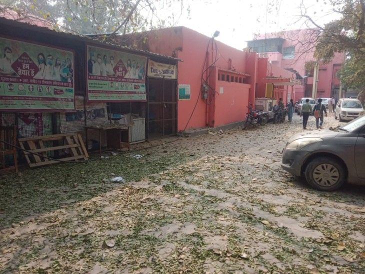 CMO office covered with tree leaves