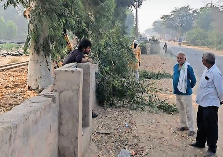 Jaitsar: Electricity Corporation cut branches of trees near electric ...