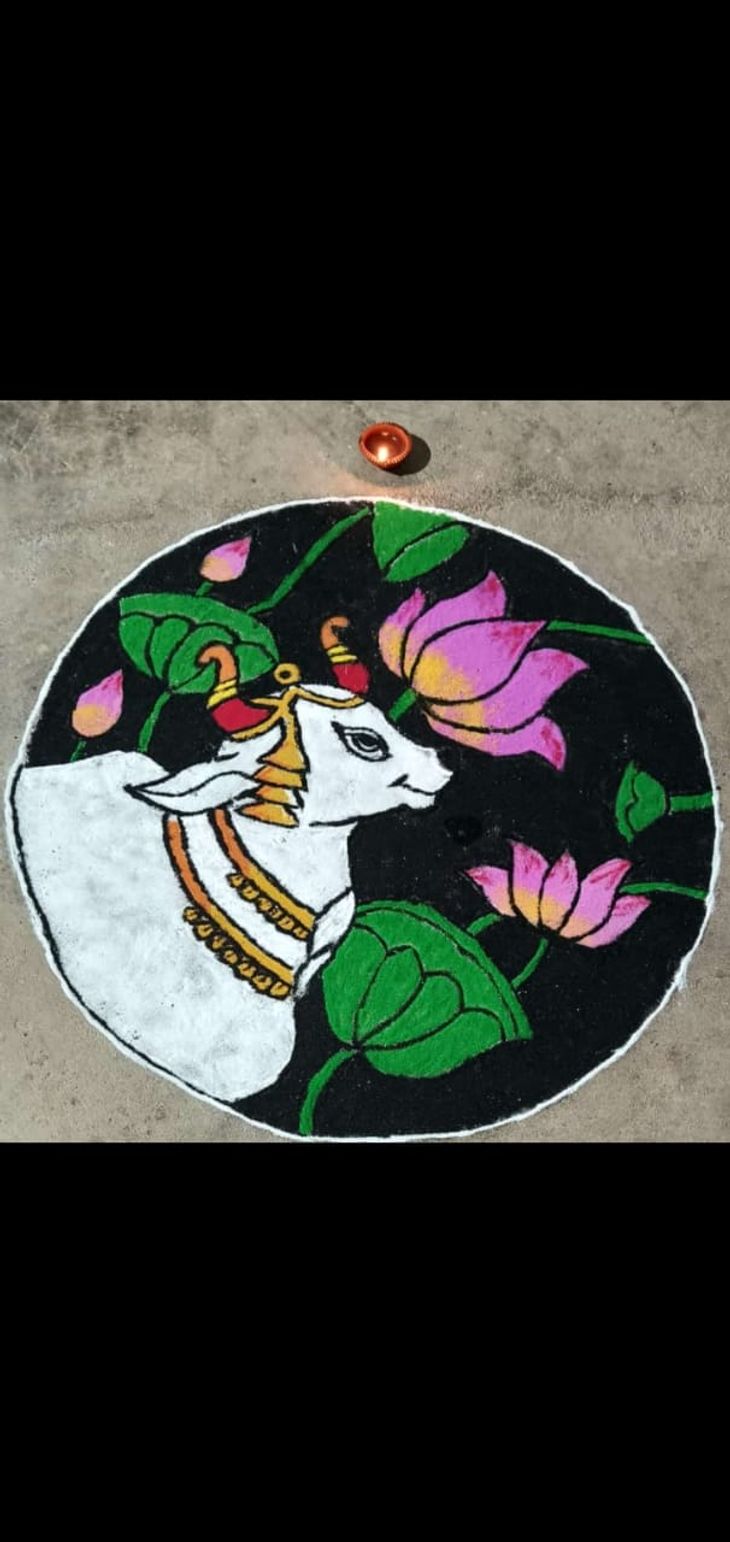 Mother cow was worshiped by making rangoli and asked for good luck ...