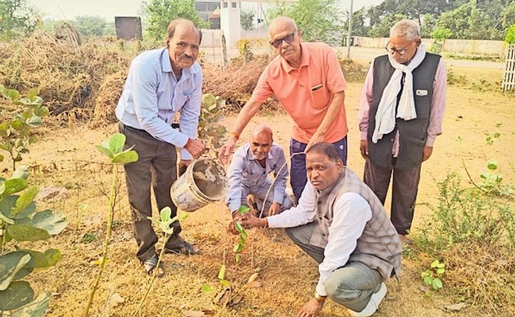 Social workers planted trees to make the hill green | पहाड़ी को हरा भरा ...
