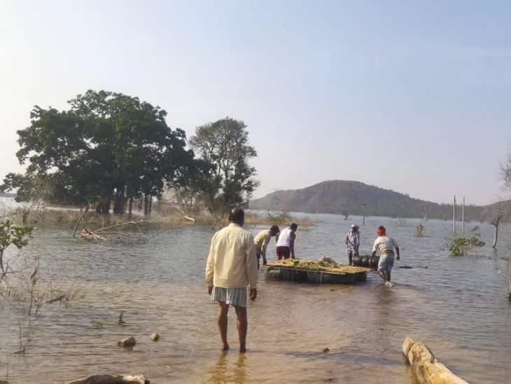 Forest Department conducted rescue operation to rescue monkeys trapped ...