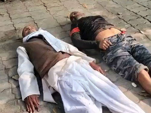 Tantrik reached post mortem house to revive middle aged man | सांप के ...
