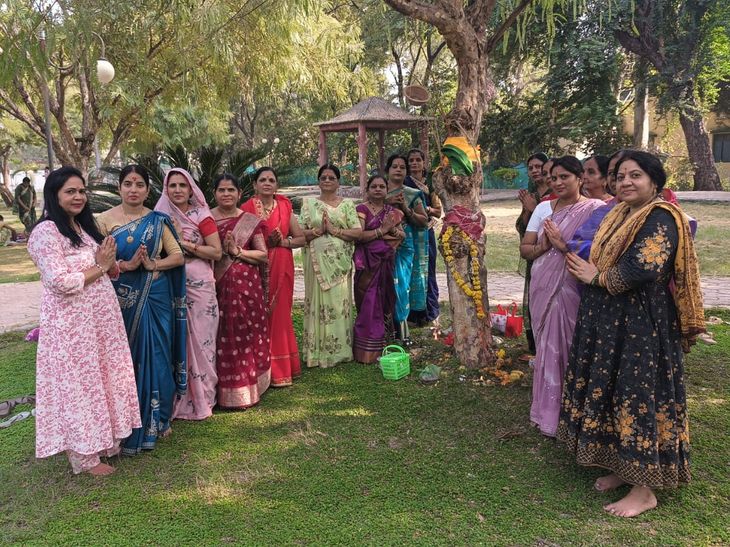 Women worshiped Amla tree, sought happiness and prosperity in the ...