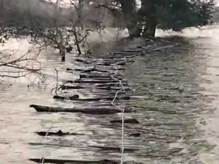 5 monkeys stranded on island due to filling of dam with water | टापू पर ...