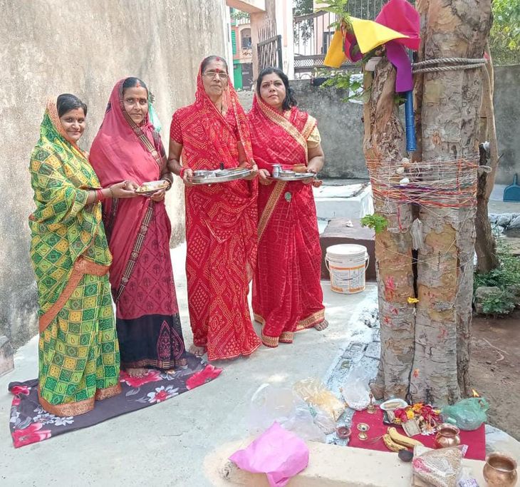 Women celebrated the festival of Amla Navami | महिलाओं ने मनाया आंवला ...