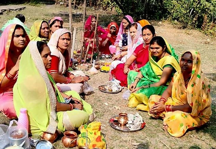 Women sought prosperity by worshiping Amla tree | महिलाओं ने आंवले के ...