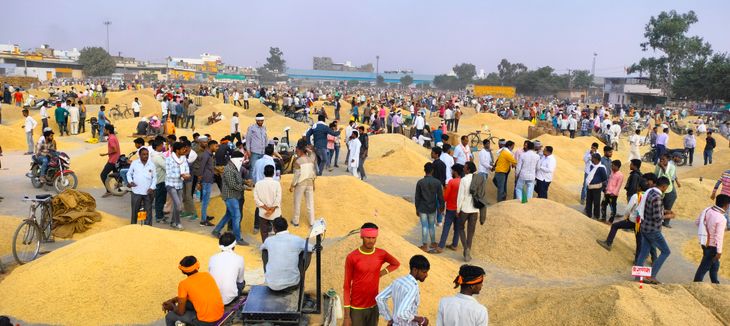 Arrival of 80 thousand bags of paddy, business worth more than Rs 13 ...
