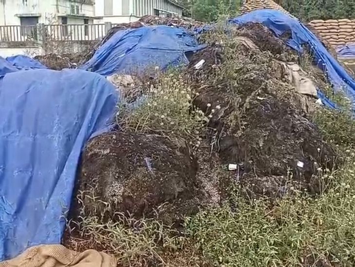 Case of rigging in paddy maintenance | धान रखरखाव में धांधली का मामला ...