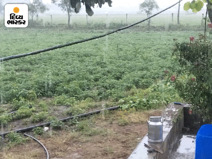 Monsoon season formed in Gujarat amid cold snap