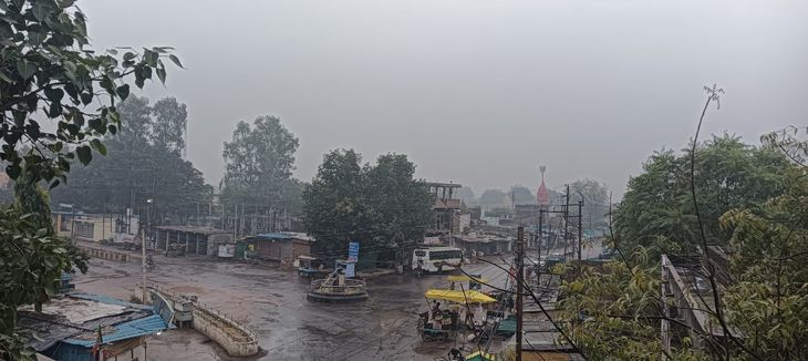 Crops got nectar from Mawatha, farmers' faces blossomed | मावठा से ...