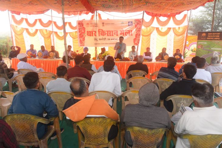 Thar Pomegranate Fair organized in Dechu | देचू में थार अनार मेले का ...