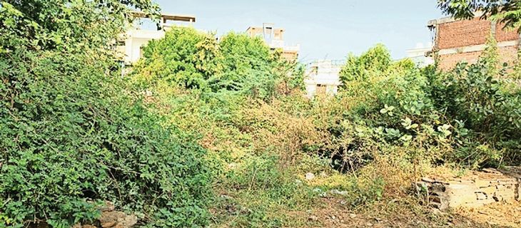 Bushes growing in vacant plots, dirty water from broken drains is ...