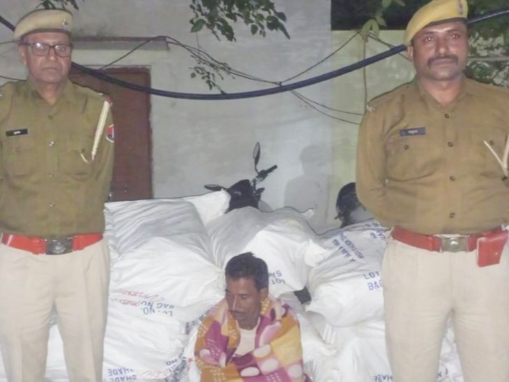 Accused arrested in sandalwood smuggling case, 977 kg of illegal wet ...