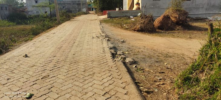 The paver block path built six months ago in Chharu started getting ...
