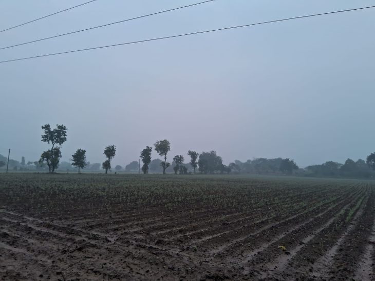 Impact of Andhra's storm till Manawar | आंध्र के तूफान का मनावर तक असर ...