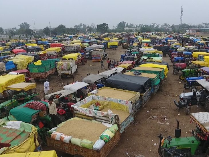 Agricultural produce market will remain closed from tomorrow till 12th ...