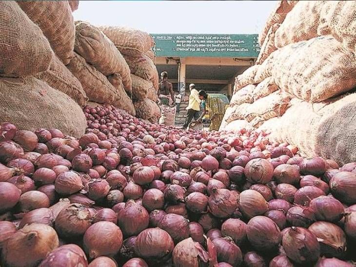 Government bans onion export till March 2024, | सरकार ने प्याज एक्सपोर्ट पर मार्च 2024 तक लगाई ...
