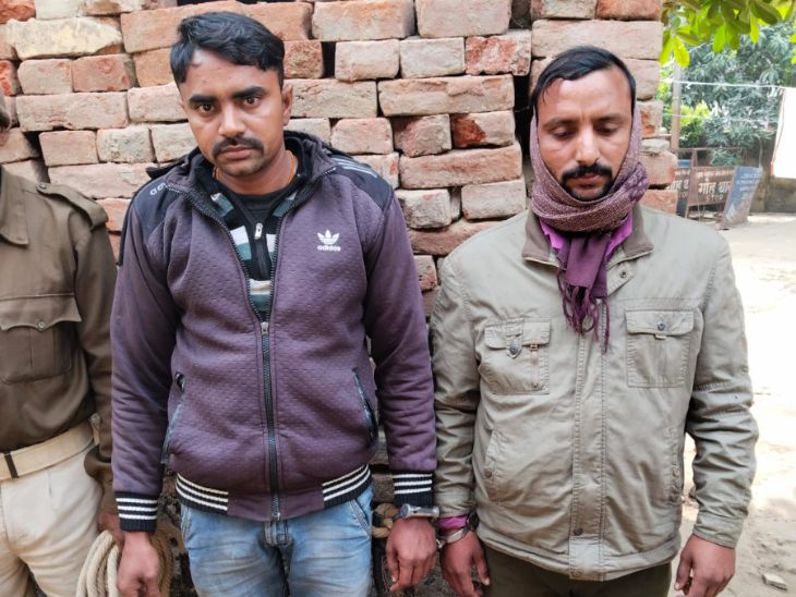 Truck loaded with 32 cattle seized, two smugglers arrested | 32 ...