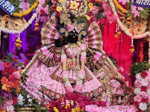 Celebration of appearance of Swami Haridas's beloved