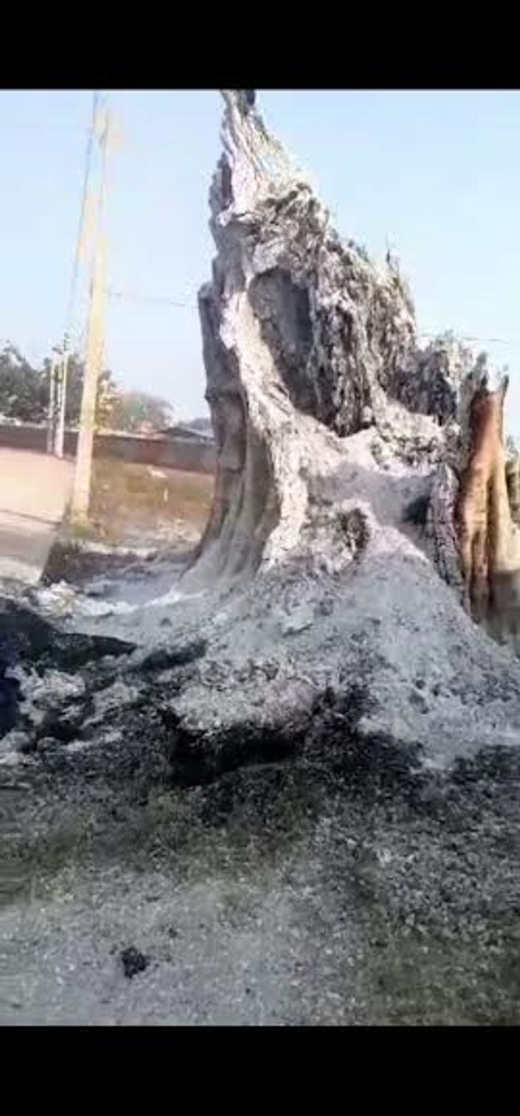 It has been burning for 4 days... a dry tree was set on fire. | 4 दिन ...