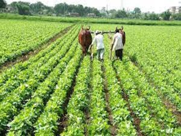 Development of agriculture and related sectors is necessary to ...