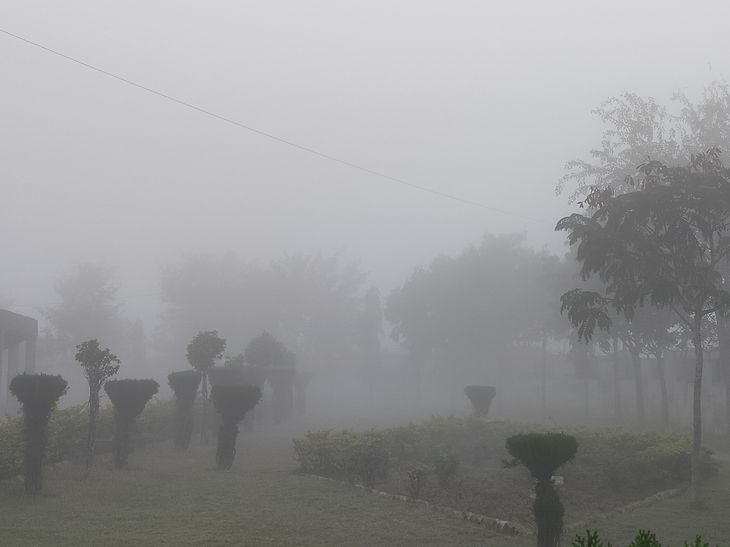 The densest fog of this season in Raisen, visibility less than 50 ...