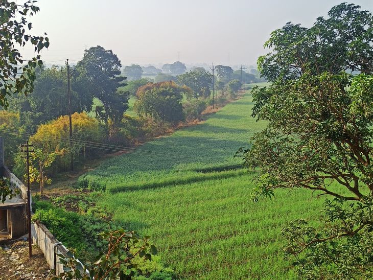 Increase in day and night temperatures in Manawar | मनावर में दिन और ...