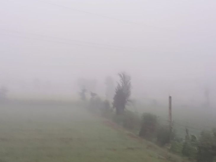 The effect of winter has increased, now the minimum temperature is ...