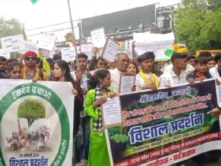 In Indore regarding cutting of Hasdev forest in Korba. | कोरबा में जंगल ...