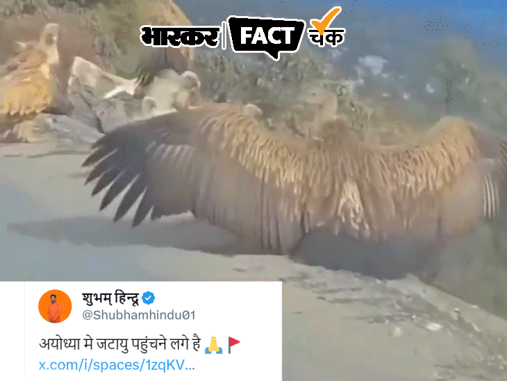 Ram Jatayu Milan; Ayodhya Ram Mandir Vulture Group Video Goes Viral ...
