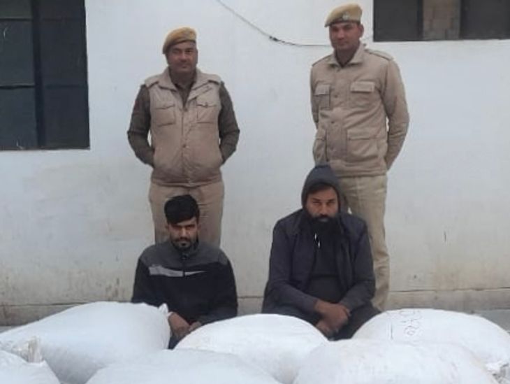 Doda poppy worth Rs 38 lakh caught in sleeper bus | स्लीपर बस में पकड़ा ...