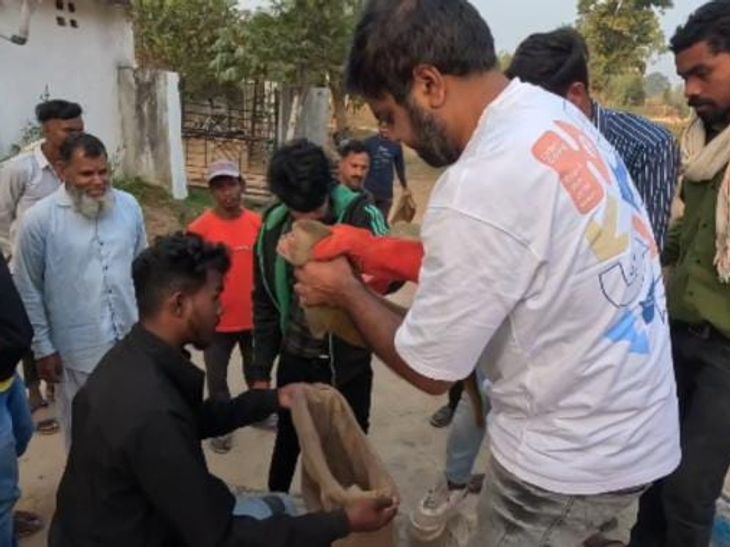 Forest department rescues pet monkey who Creating ruckus after owner's ...
